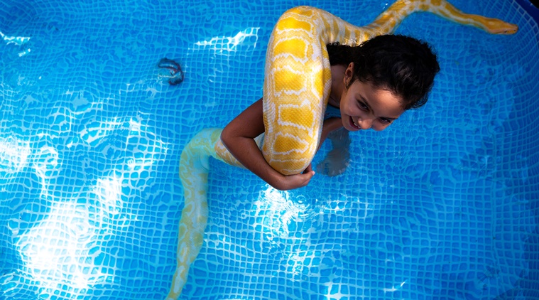 Meet the Israeli child who takes a 11-foot pet python swimming ...