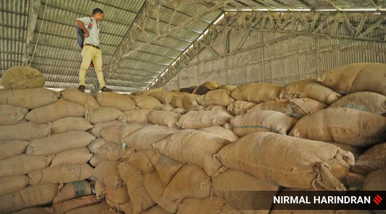 Explained: How free grain is helping mills and lifting exports ...