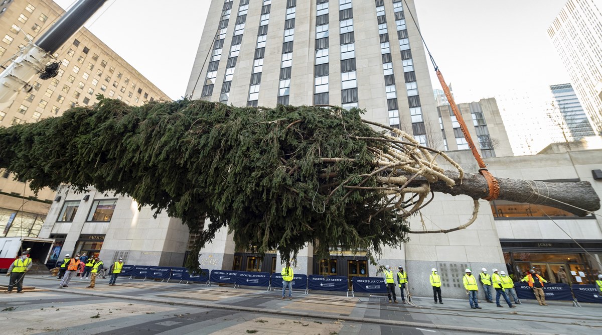 Explained: Why the Rockefeller Centre Christmas Tree is being called a ...