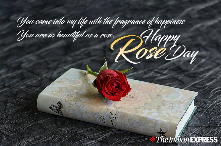 Happy Rose Day 2021: Wishes Images, Quotes, Status, HD Wallpapers, GIF ...