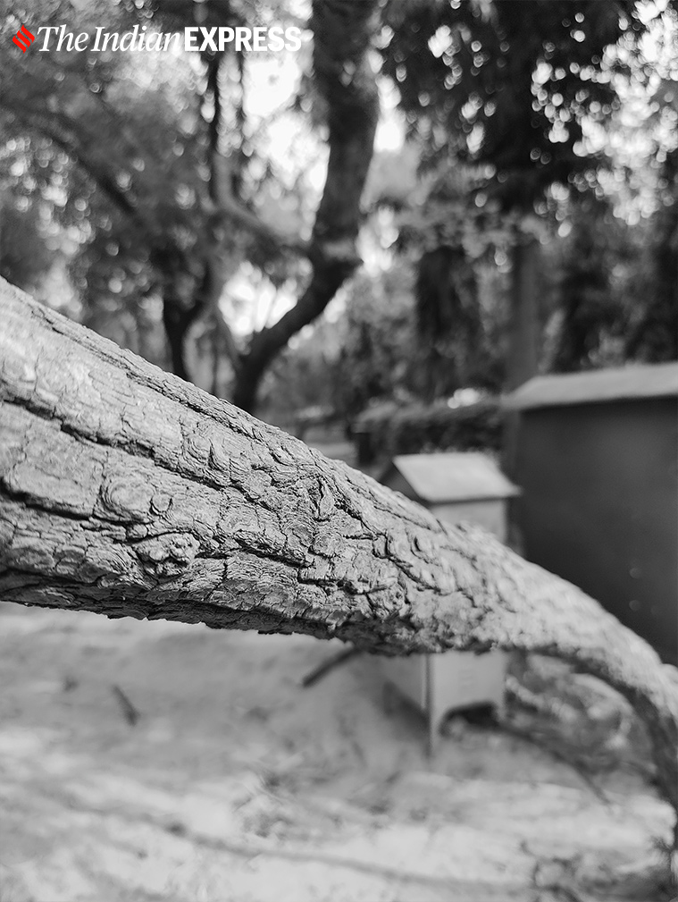 OnePlus 9 Pro review, ratings