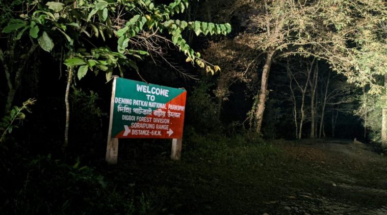 Two new national parks, Dehing Patkai and Raimona, notified in Assam ...