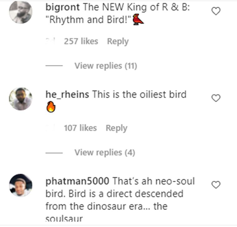 Watch: Bird’s ‘extraordinary’ singing skills leave netizens impressed ...