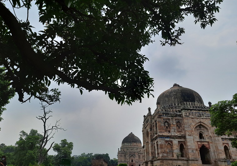 Trees of Delhi: At Lodhi Gardens, a mango tree that stood test of time ...
