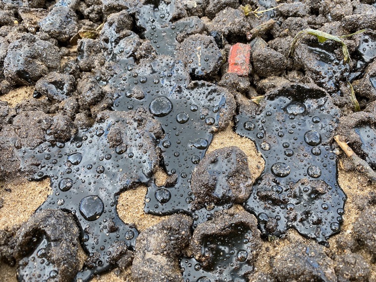 Explained: What are the tarballs that have resurfaced on Mumbai’s ...