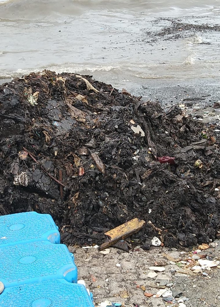 Explained: What are the tarballs that have resurfaced on Mumbai’s ...