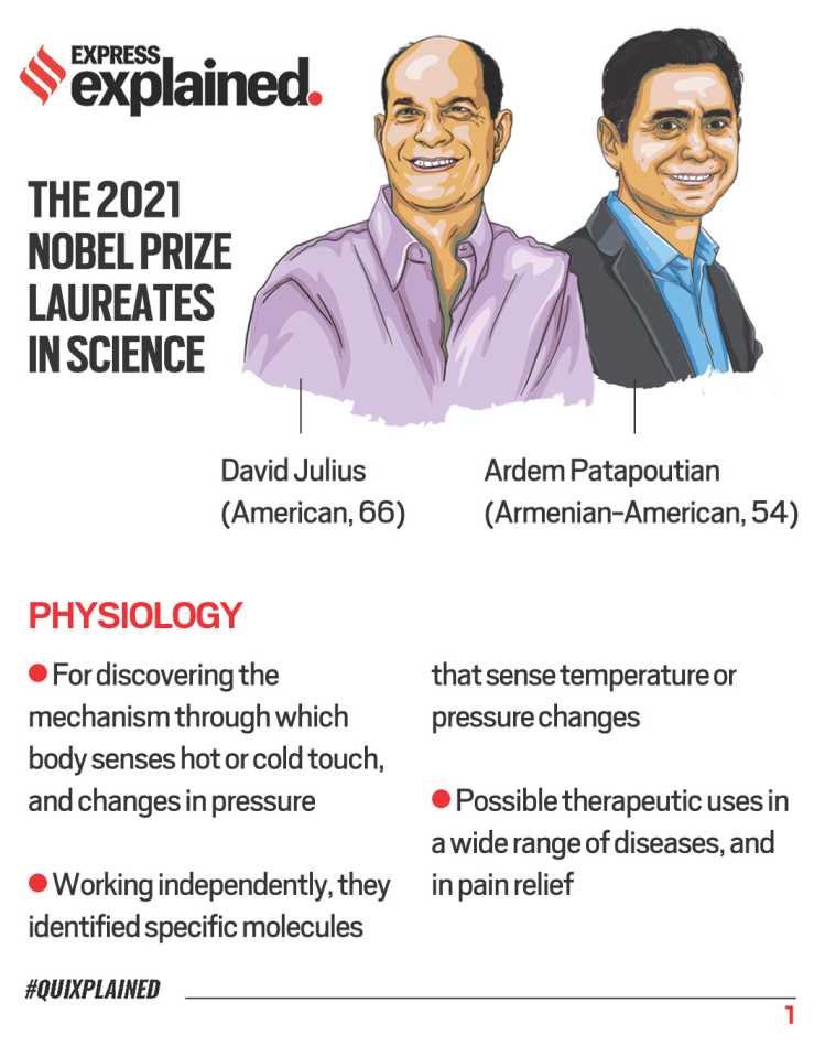 Quixplained: Who won the 2021 Nobel Prizes in science, and for what ...