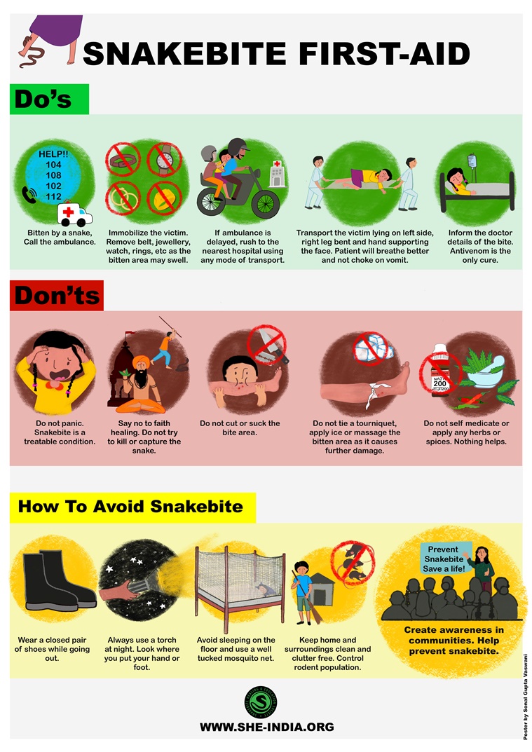 Snakebite first aid: Essential dos and don’ts | Health News - The ...