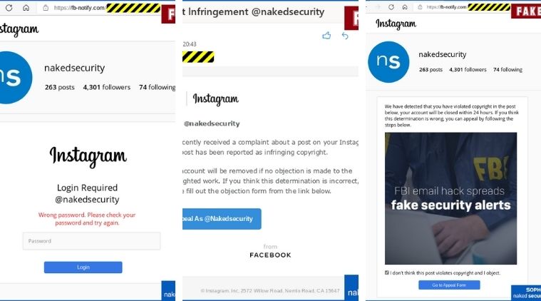 Instagram copyright violation scam on the rise, warns security ...