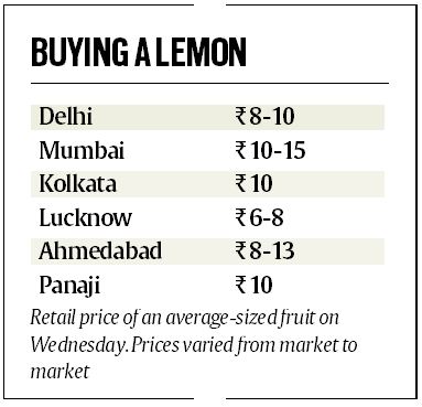 Explained: Why are lemons so expensive right now? | Explained News ...