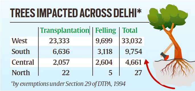 In 3 years, officials gave nod to remove 77,000 trees in Delhi | Delhi ...