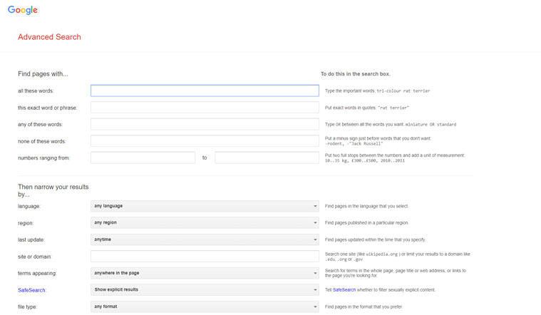 5 Google Search tips that will help you find exactly what you are ...