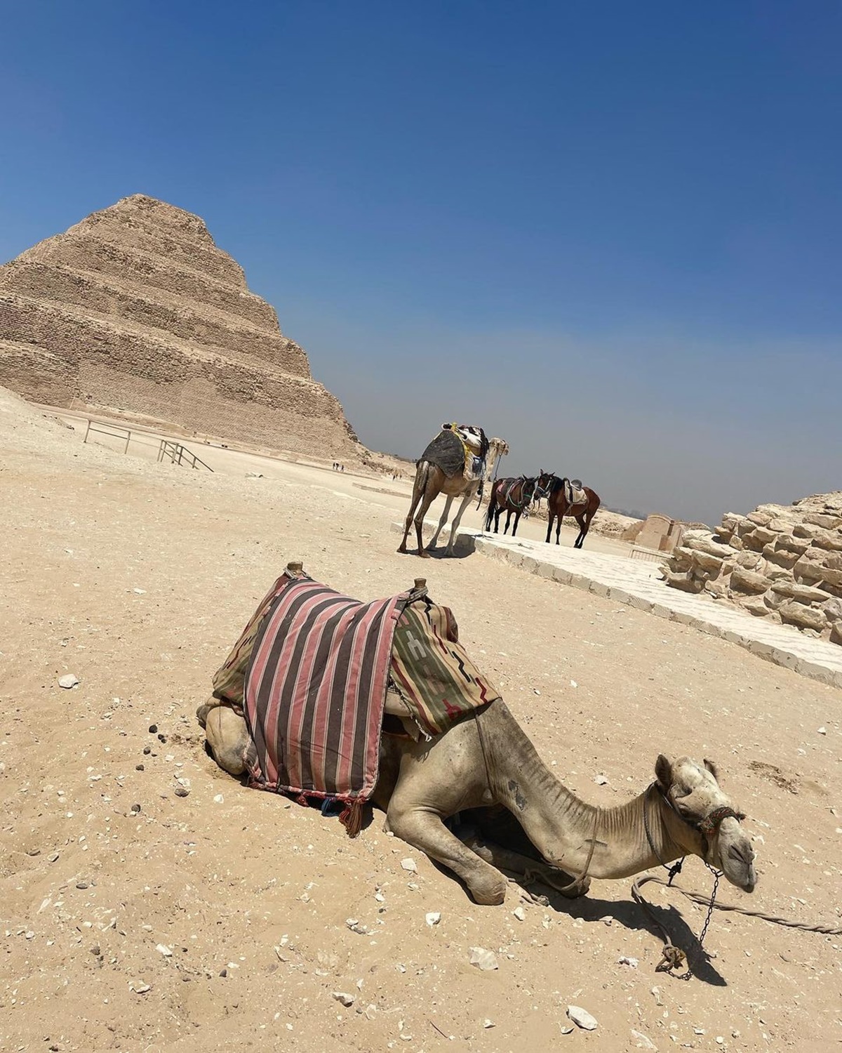 ‘What a beautiful ride’: Inside Bridgerton star Phoebe Dynevor’s ...