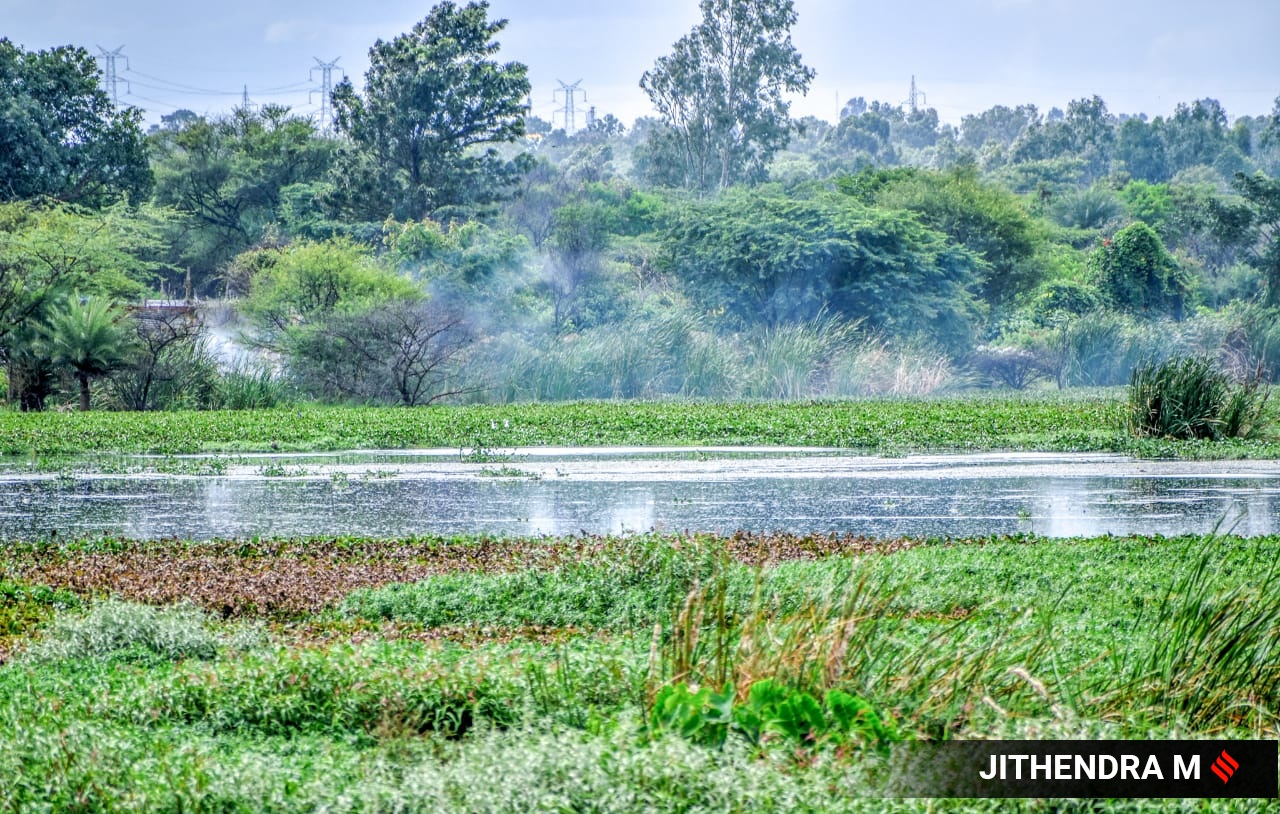 Lakes of Bengaluru: Pollution, encroachments sounding the death knell ...