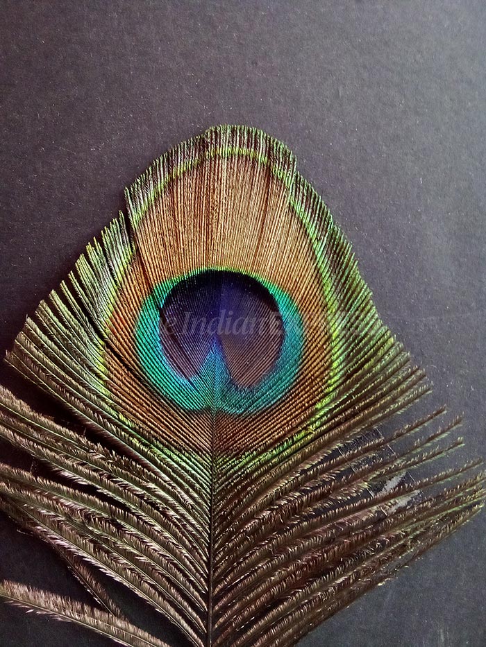 Redmi A1+ review: Affordable phone with the promise of stock Android ...