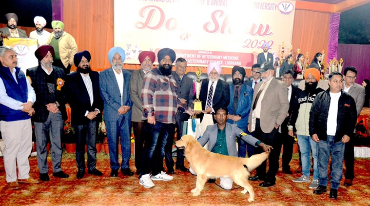 Punjab vet varsity GADVASU organizes dog show | Chandigarh News - The ...