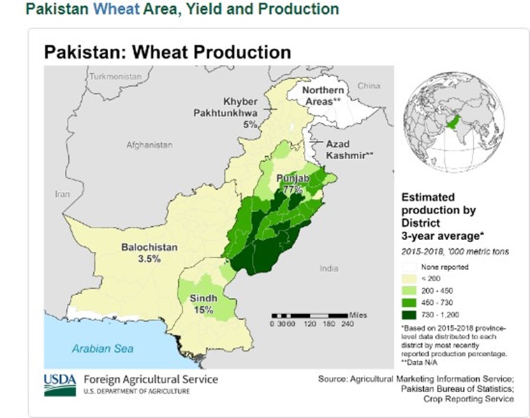 Why has wheat flour become so expensive in Pakistan? | Explained News ...