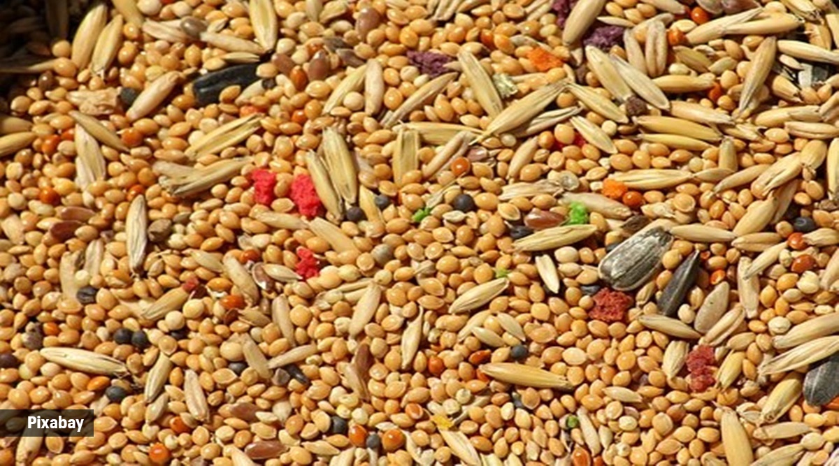 As Parliament canteen gets a new millet menu, know why these ‘super ...