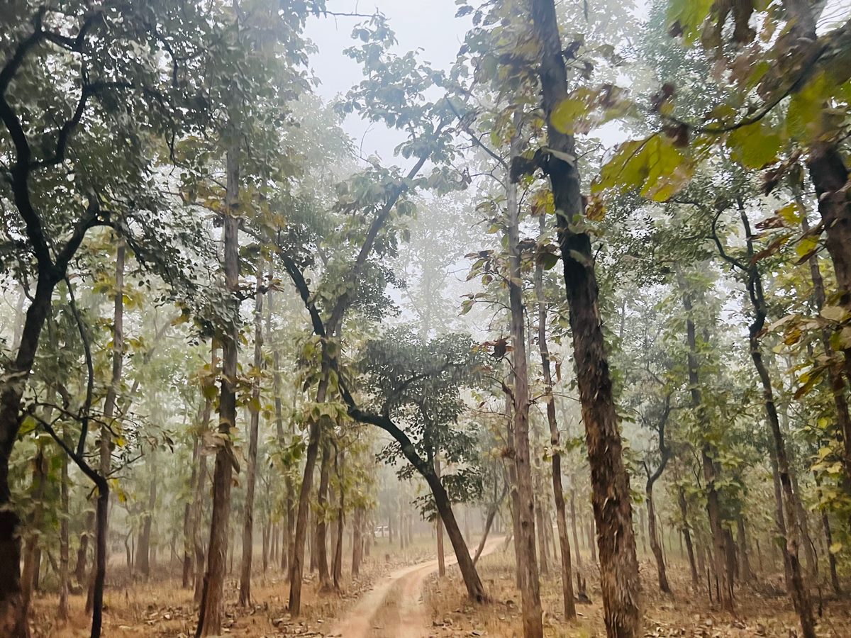 G20, geo-tourism, and cultural and natural heritage: Exploring ...