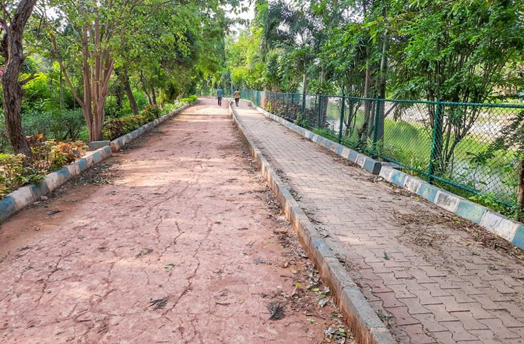 Lakes of Bengaluru: Concern over untreated sewage as Challakere lake ...