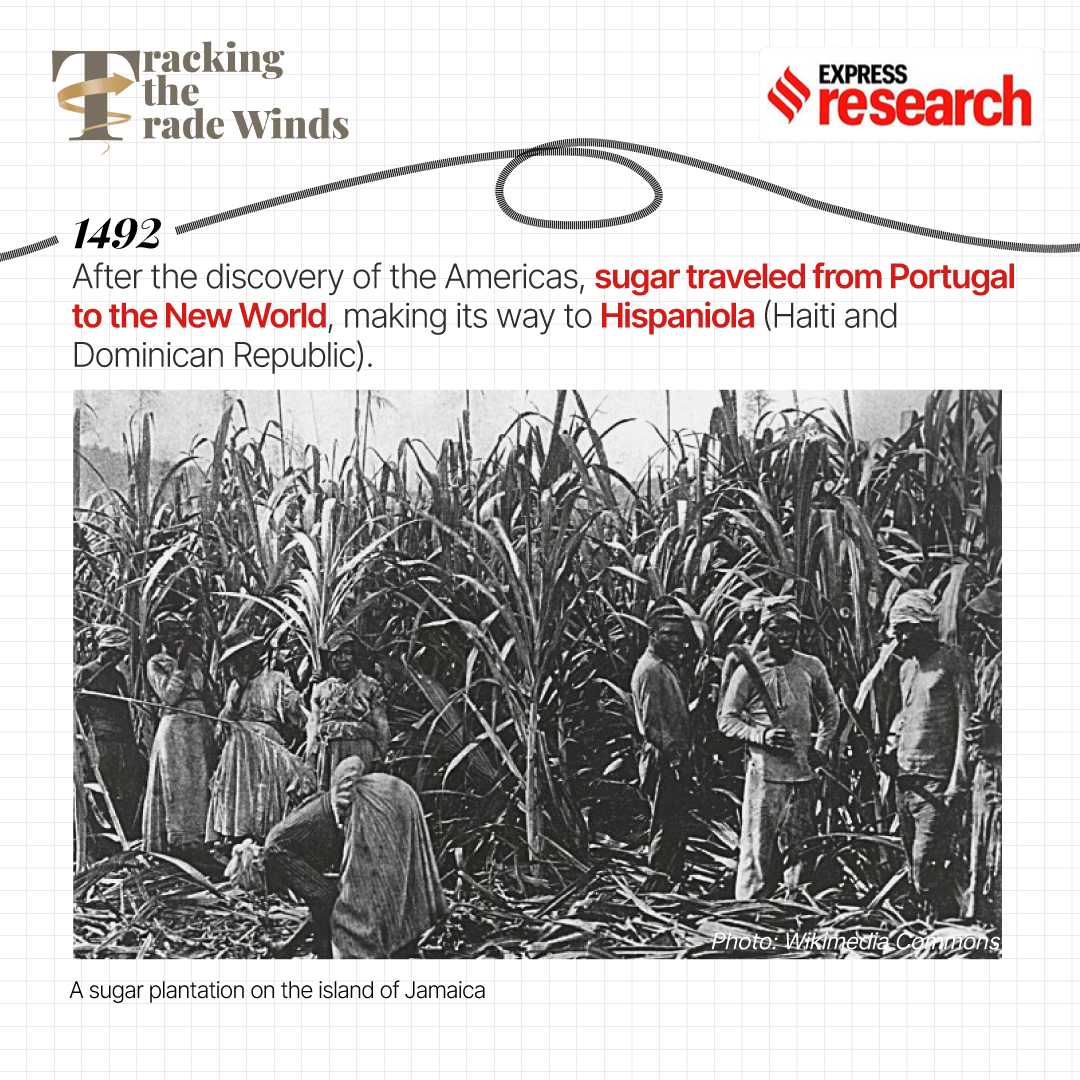 Sugar is sweet but its history says otherwise | Research News - The ...