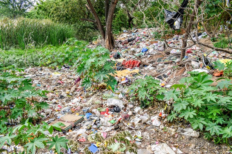 Lakes of Bengaluru: Haze on ownership pushes Garvebhavipalya lake into ...