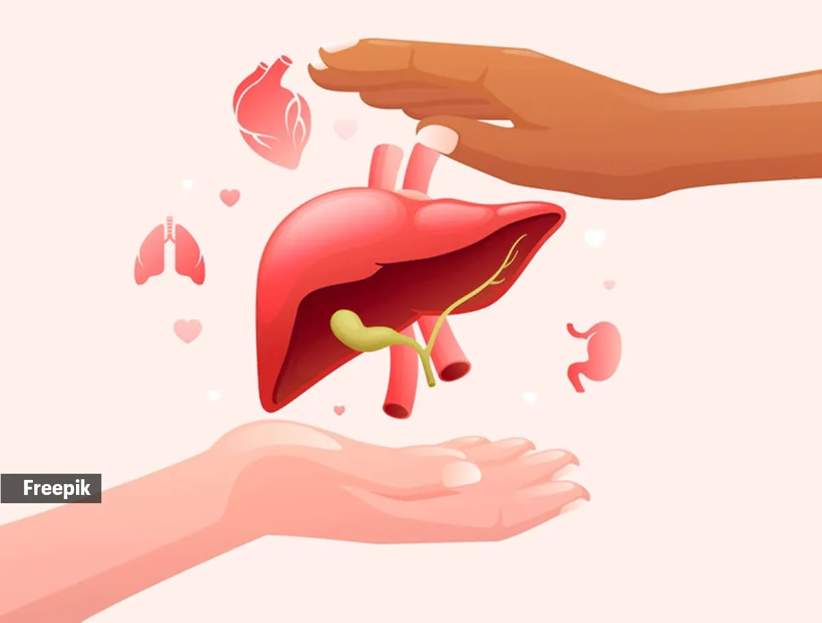 World Organ Donation Day: Here’s what you need to know before you ...