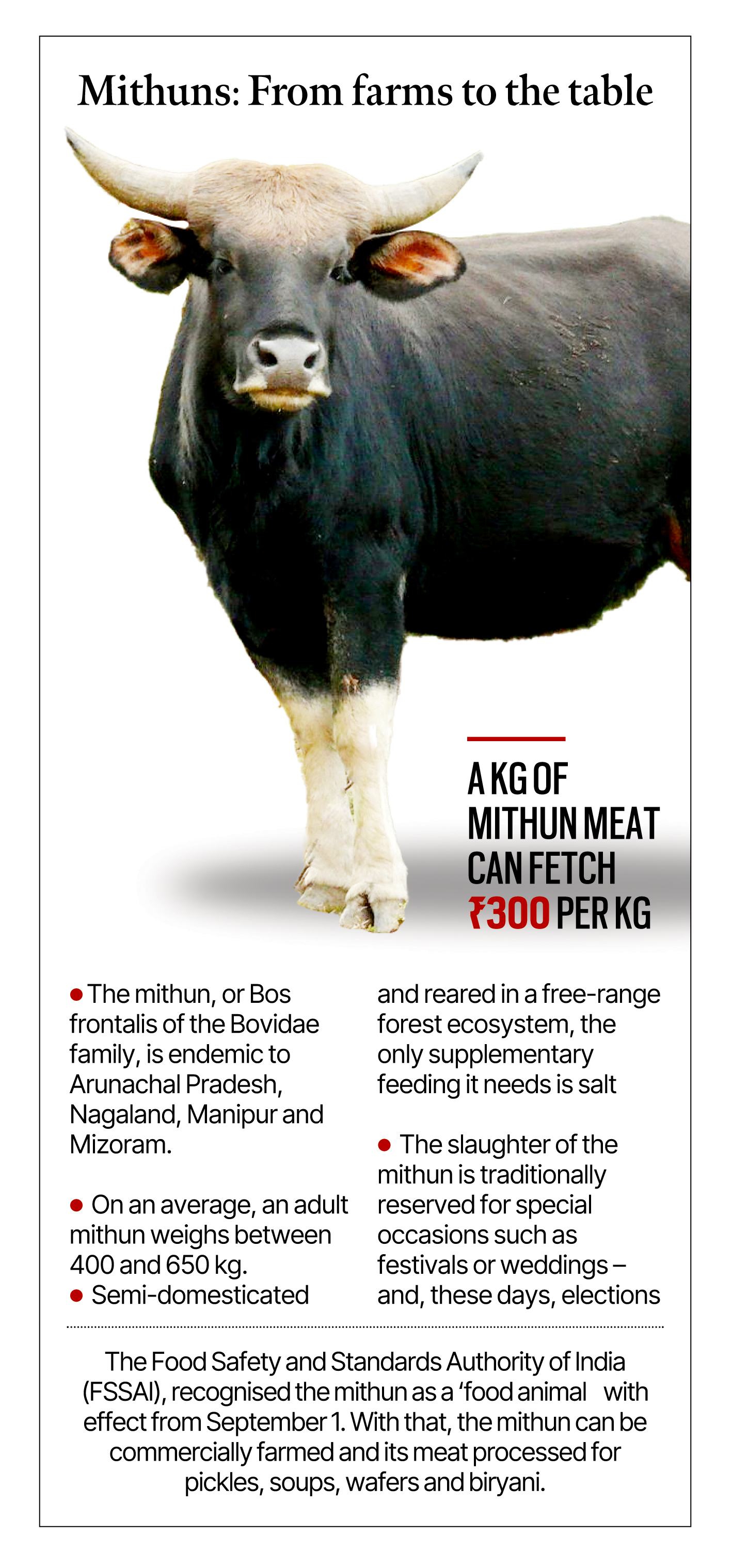 Northeast’s mithun gets ‘food animal’ tag and its meat a leg-up | India ...