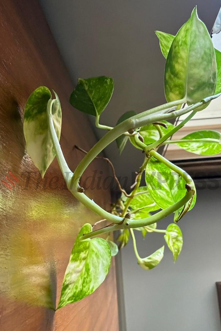 Apple iPhone 15 Pro Max review