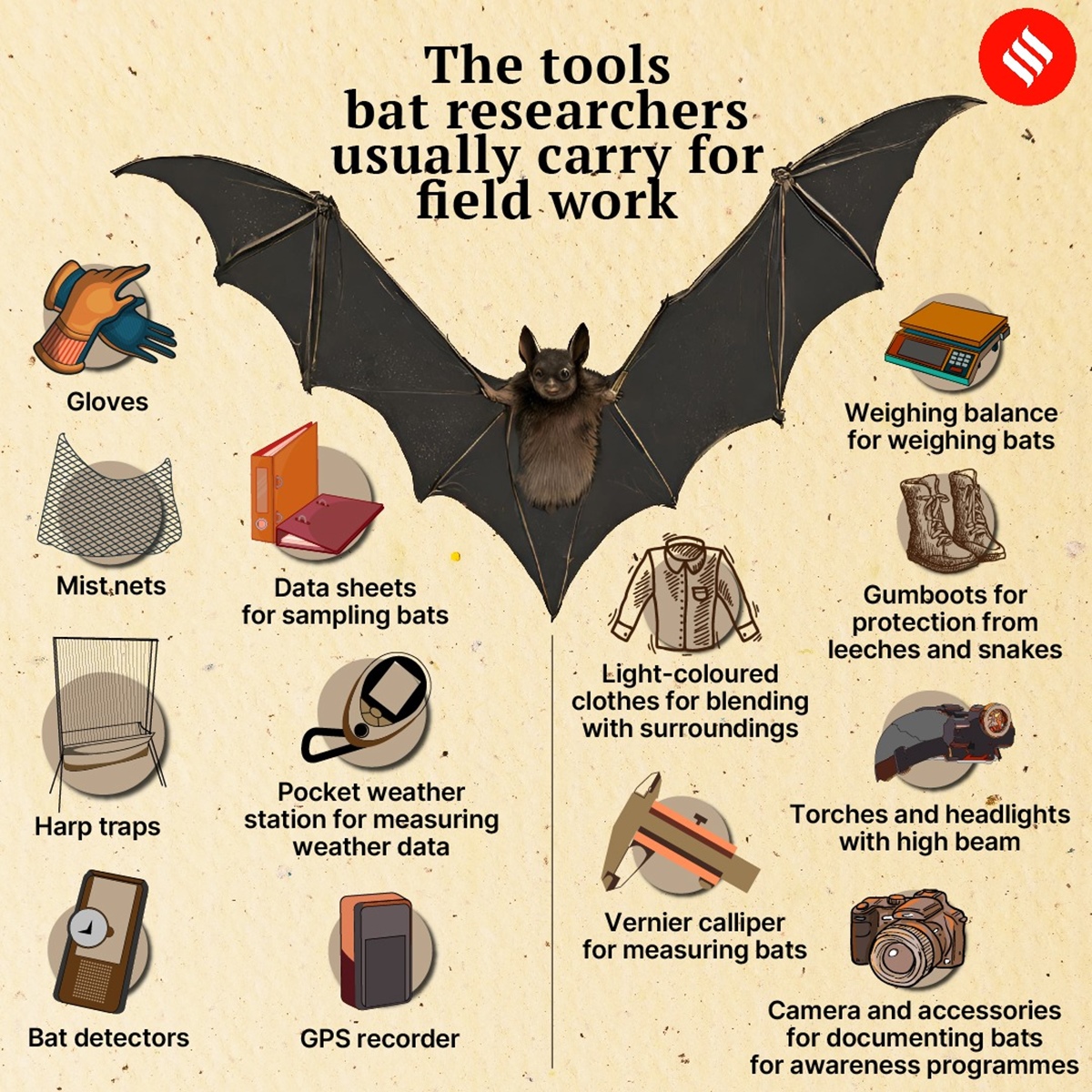 Nipah & Covid carriers? Bad omen? Bats are beautiful, say researchers