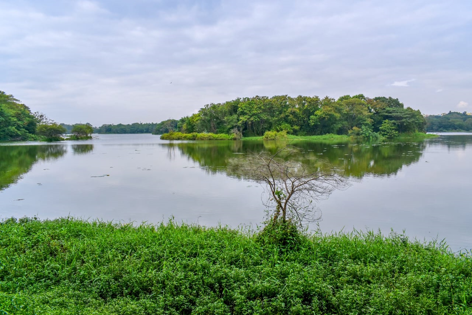 Lakes of Bengaluru: This 1,200-year-old lake is an ideal example of ...