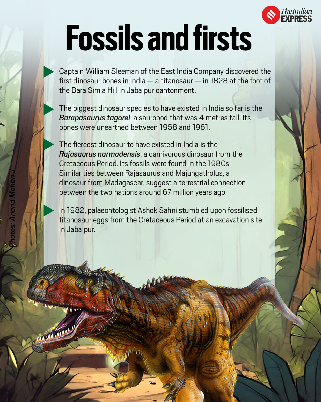 Where fossils meet faith in a Madhya Pradesh district | India News ...
