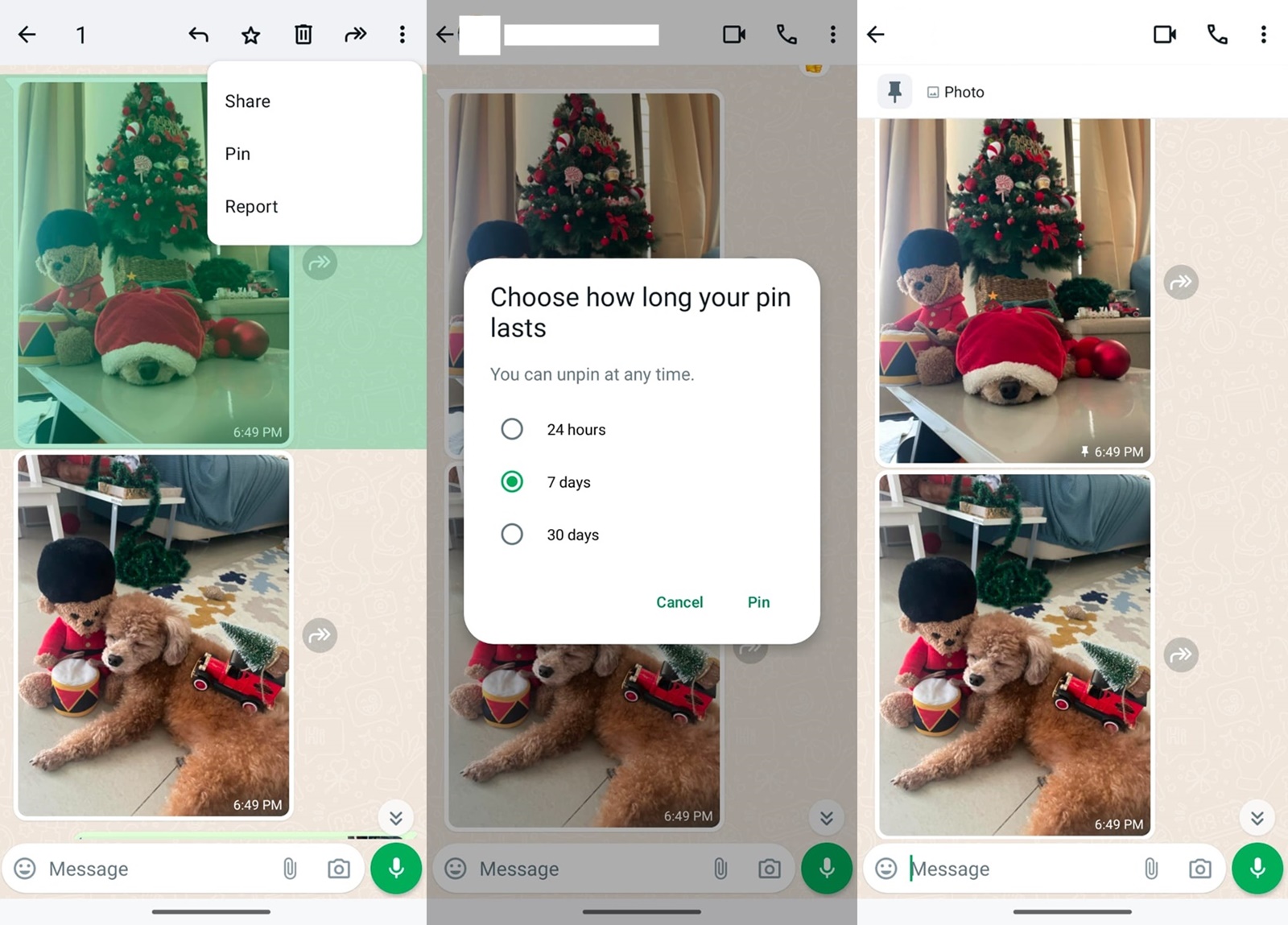 WhatsApp now lets you pin a message in chat: Here’s how to do it ...