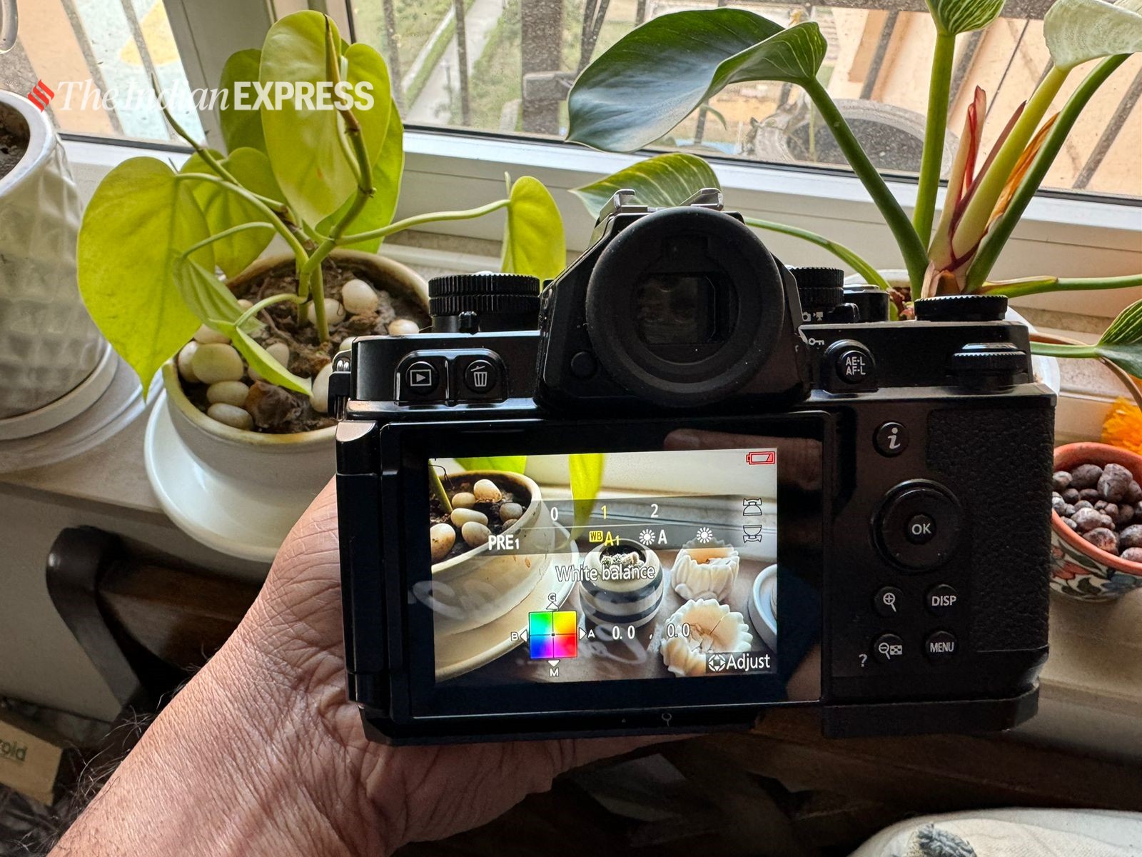 Nikon Zf camera review: The mirrorless has evolved | Technology News ...