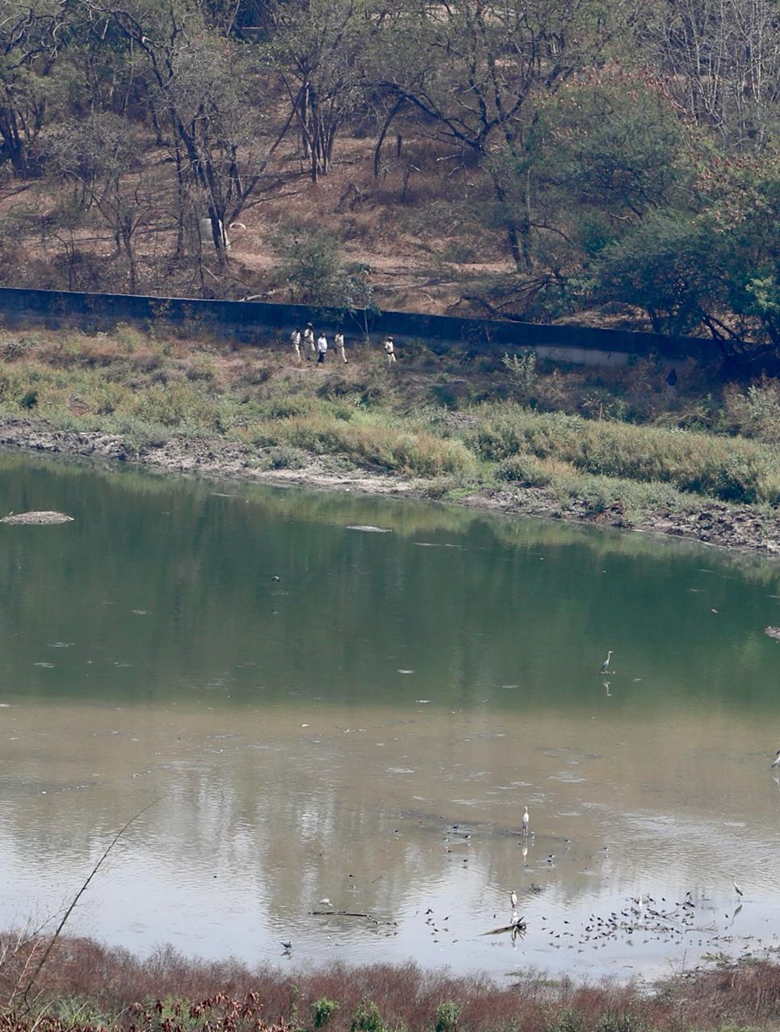 Sachin-the-leopard rescued as 36-hour non-stop operation at Pune zoo ...