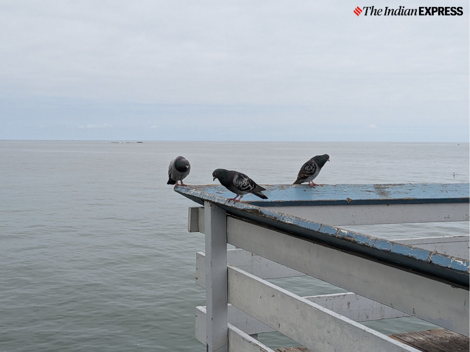 Google Pixel 8a review