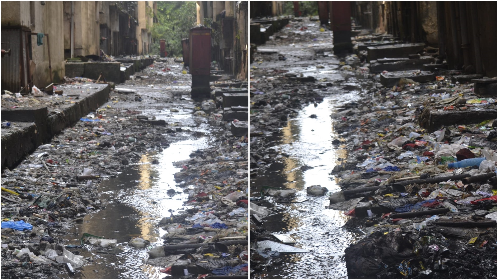 Special cleaning drive conducted at Mahul village by M-West ward of BMC ...