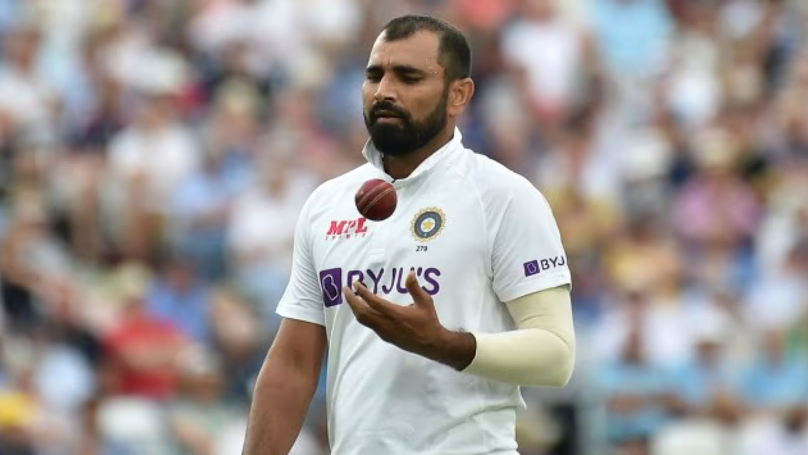 Border-Gavaskar Trophy: Can Mohammed Shami feature in Australia? Here’s ...