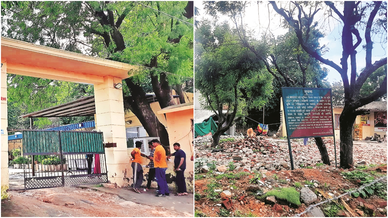 Why efforts to reclaim the Ridge — Delhi’s lungs — is no easy task