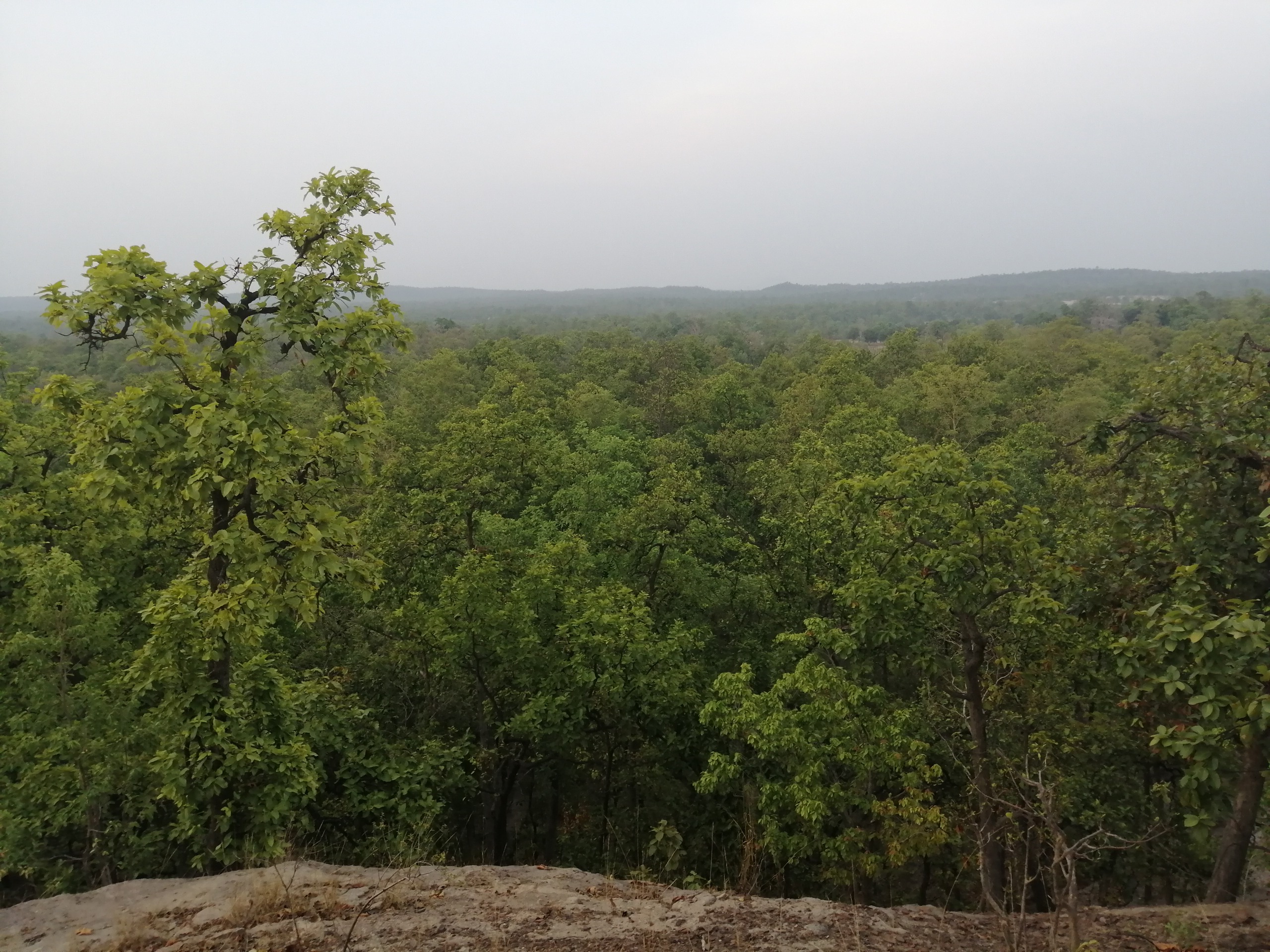 What is the Hasdeo Arand mining issue, and why villagers clashed with ...