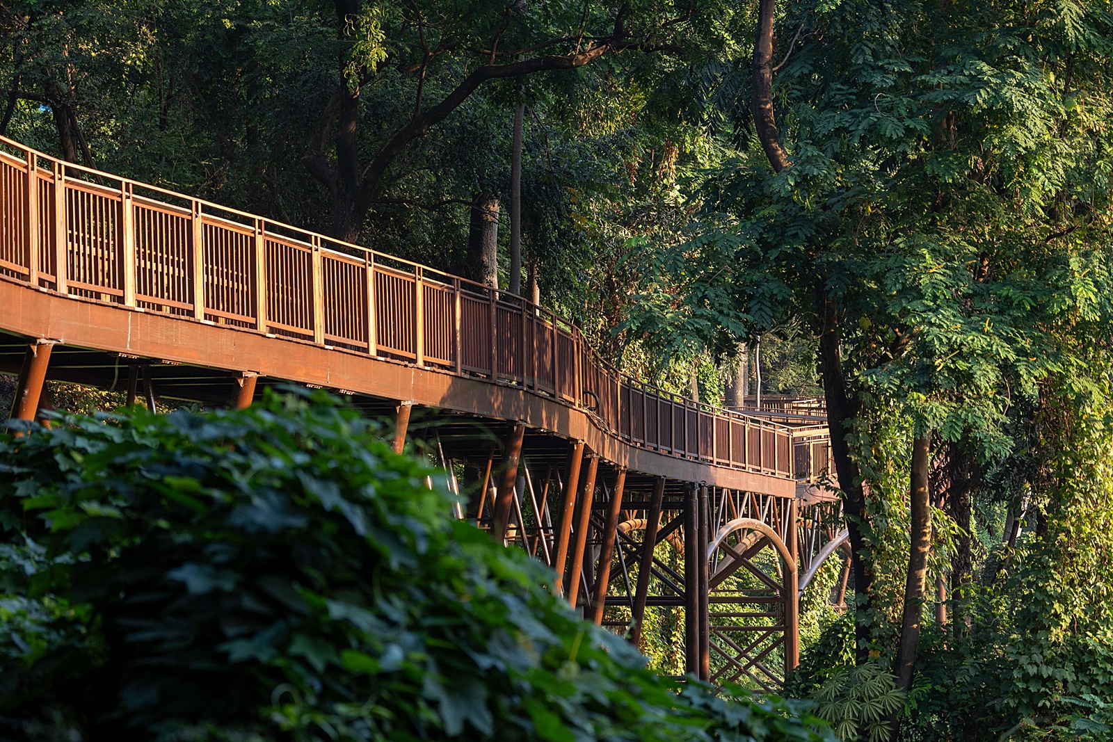 A rare opportunity for a climate-resilient coastal forest in Mumbai ...