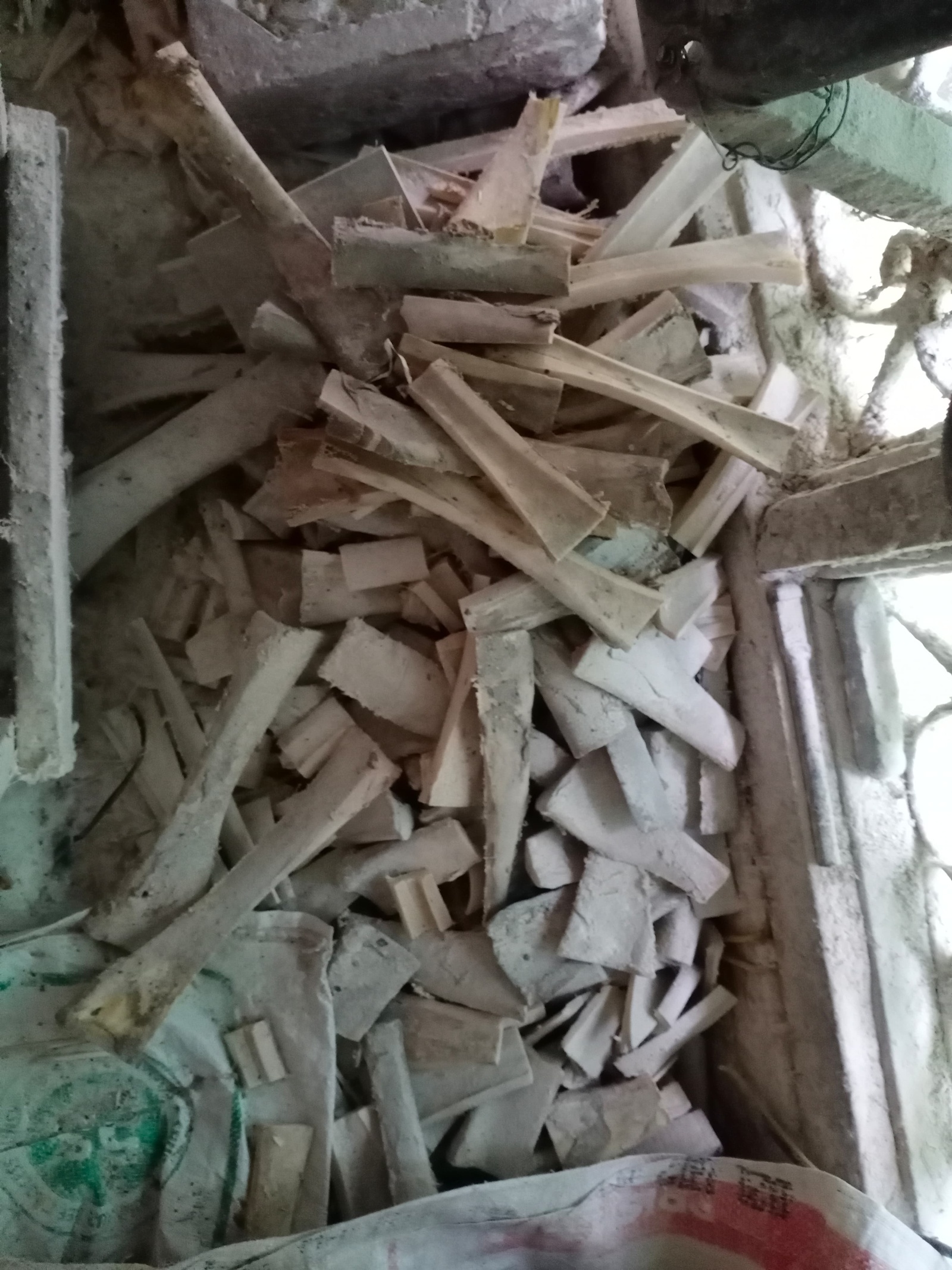 The last of Lucknow’s bone carvers: Family strives to save a 400-year ...