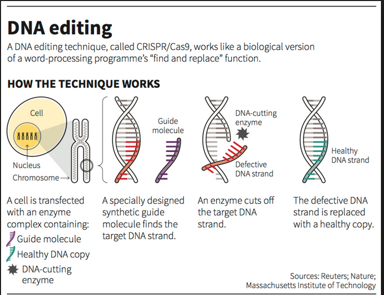 Knowledge Nugget: How is the world’s first genome edited (GE) rice ...