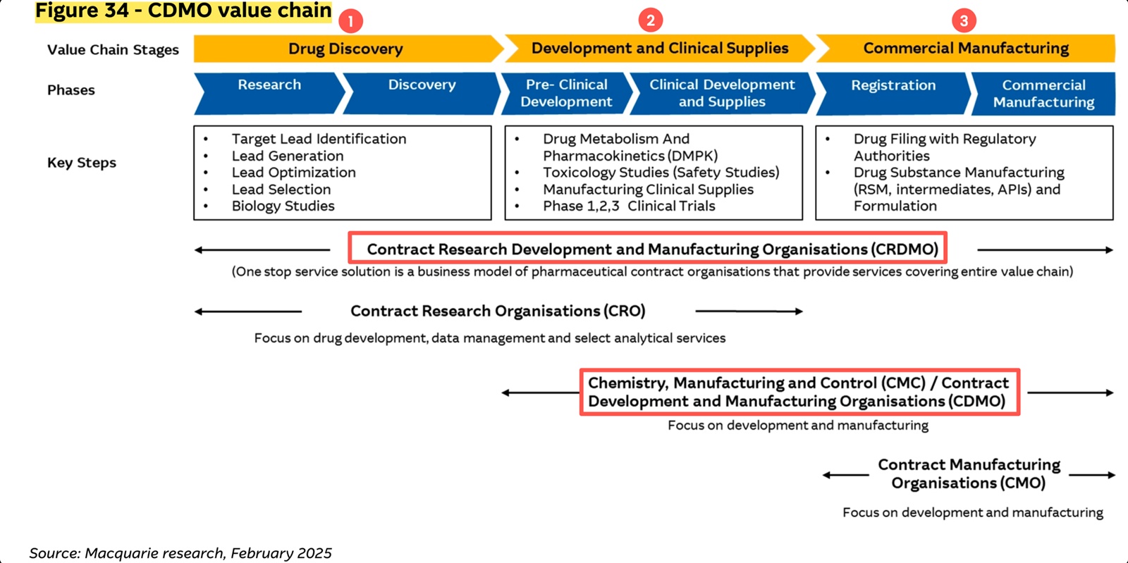 Blue Jet Healthcare: A CRDMO king in the making? | Smart Stocks News - The Indian Express