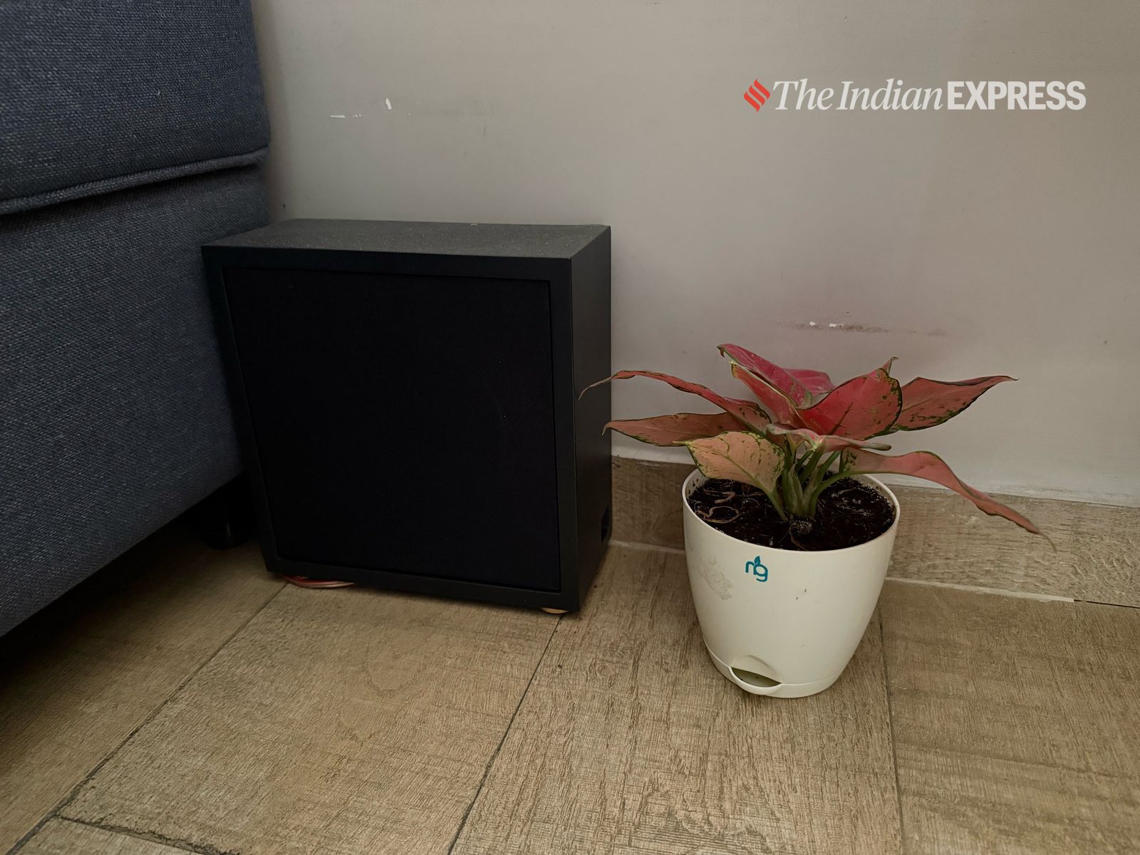 Xscace Bonsai Review: Invisible Wireless Speakers with Powerful Sound ...