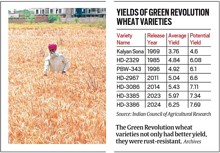 Explained: Why farmers prefer growing rice and wheat | Explained News ...