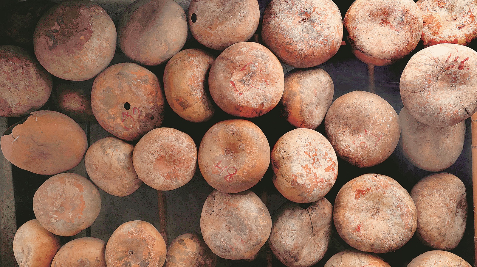 World Music Day: How craftspeople in Maharashtra’s Miraj town are using ...