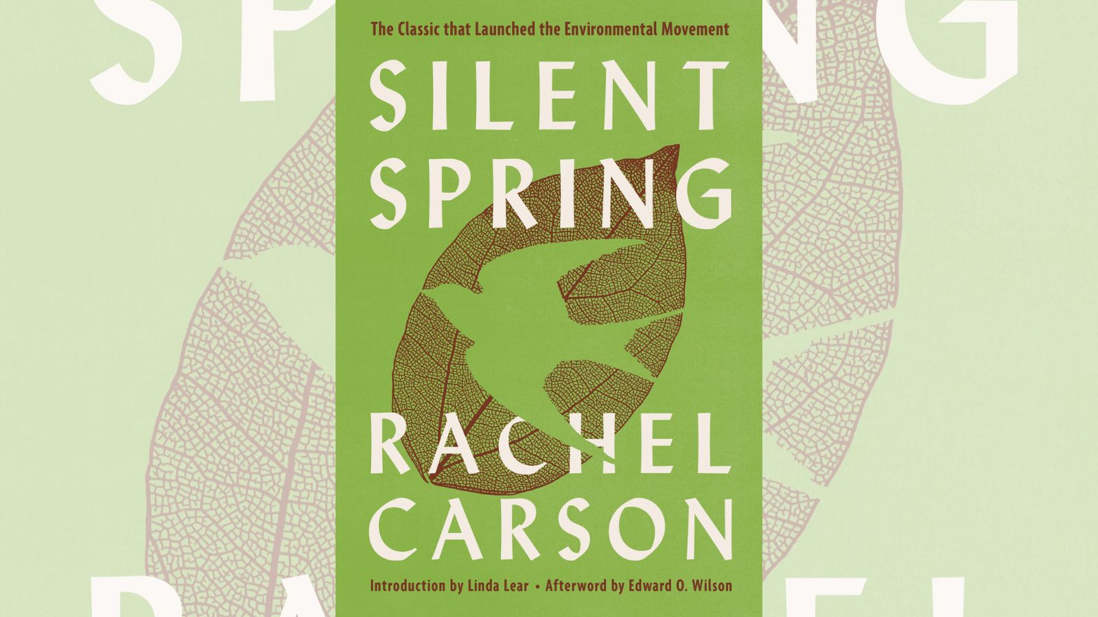 Margaret Atwood to Amitav Ghosh: 5 writers sounding the alarm on the ...