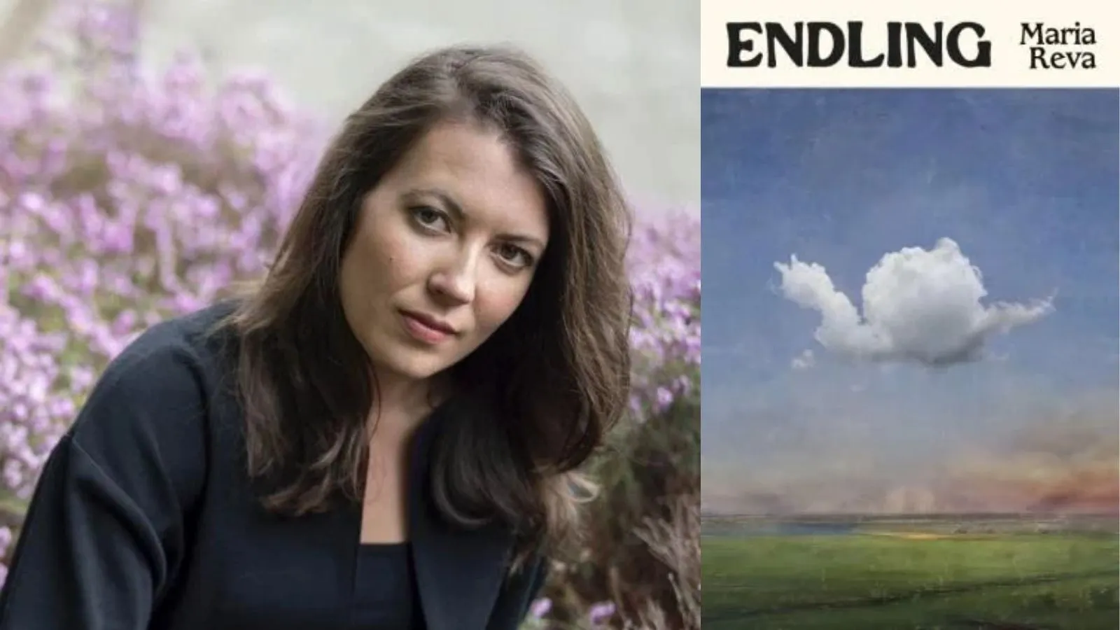 Inside the 2025 Booker Prize longlist: A reader’s guide