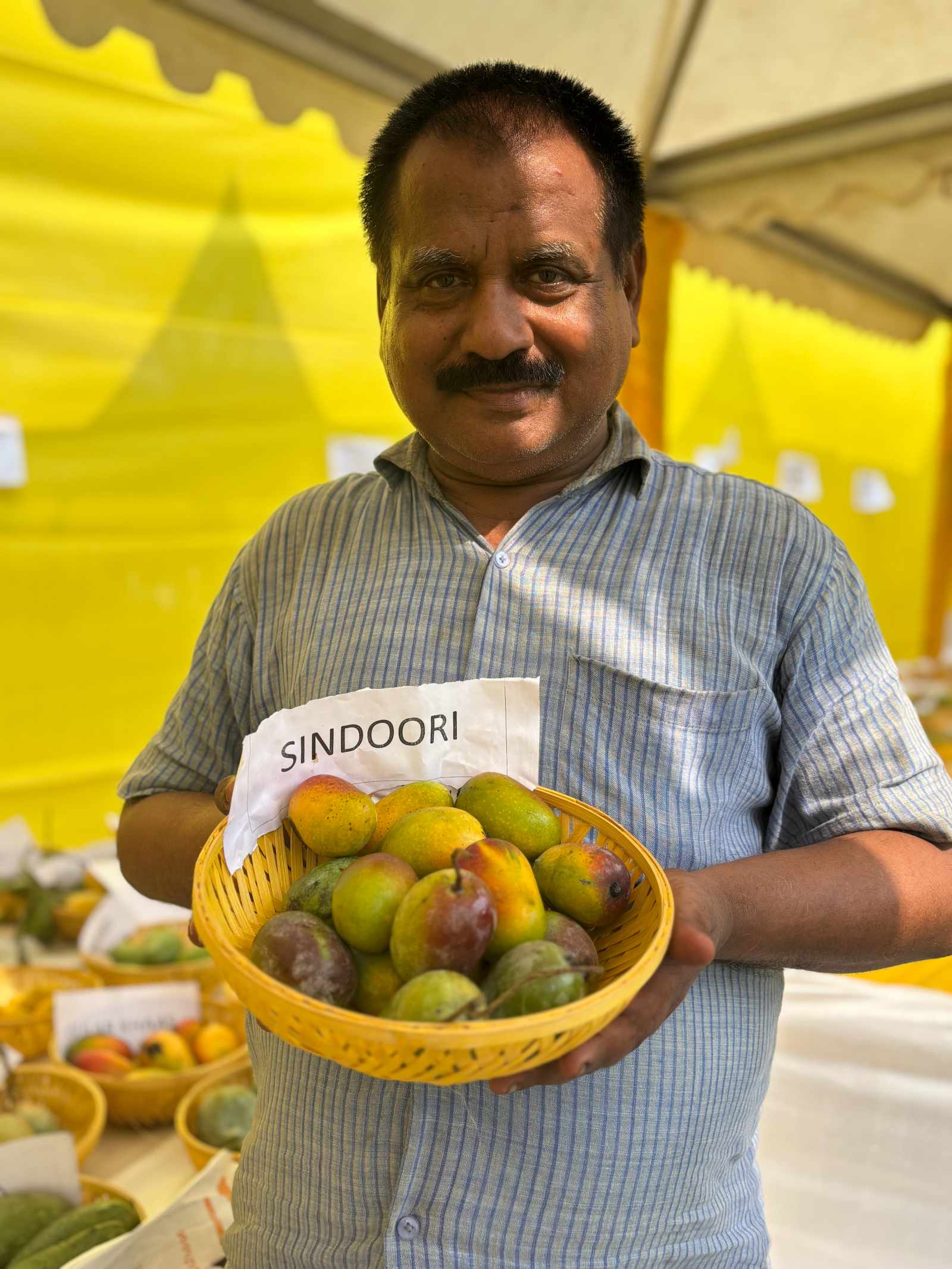 500 varieties of mangoes from across India on display in Delhi’s Chanakyapuri | Delhi News - The ...